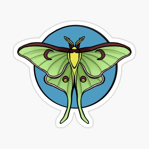 "Pretty Luna moth with moons" Sticker for Sale by LittyLes | Redbubble