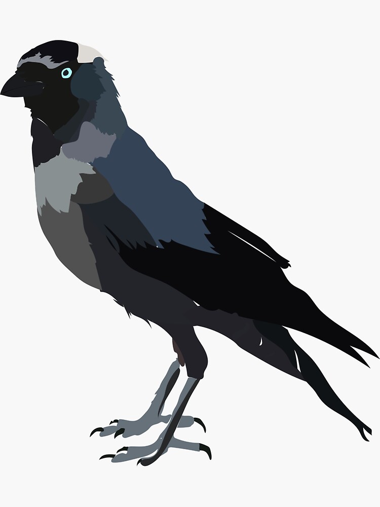 "Crow Sticker, corvine Sticker, Raven Sticker" Sticker for Sale by ...