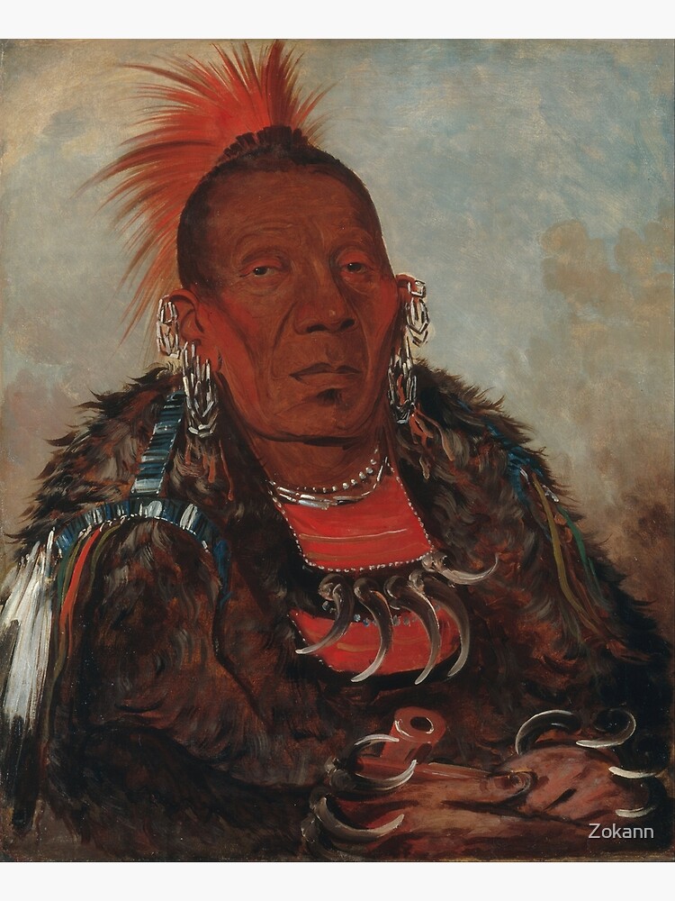 "George Catlin" Poster for Sale by Zokann | Redbubble