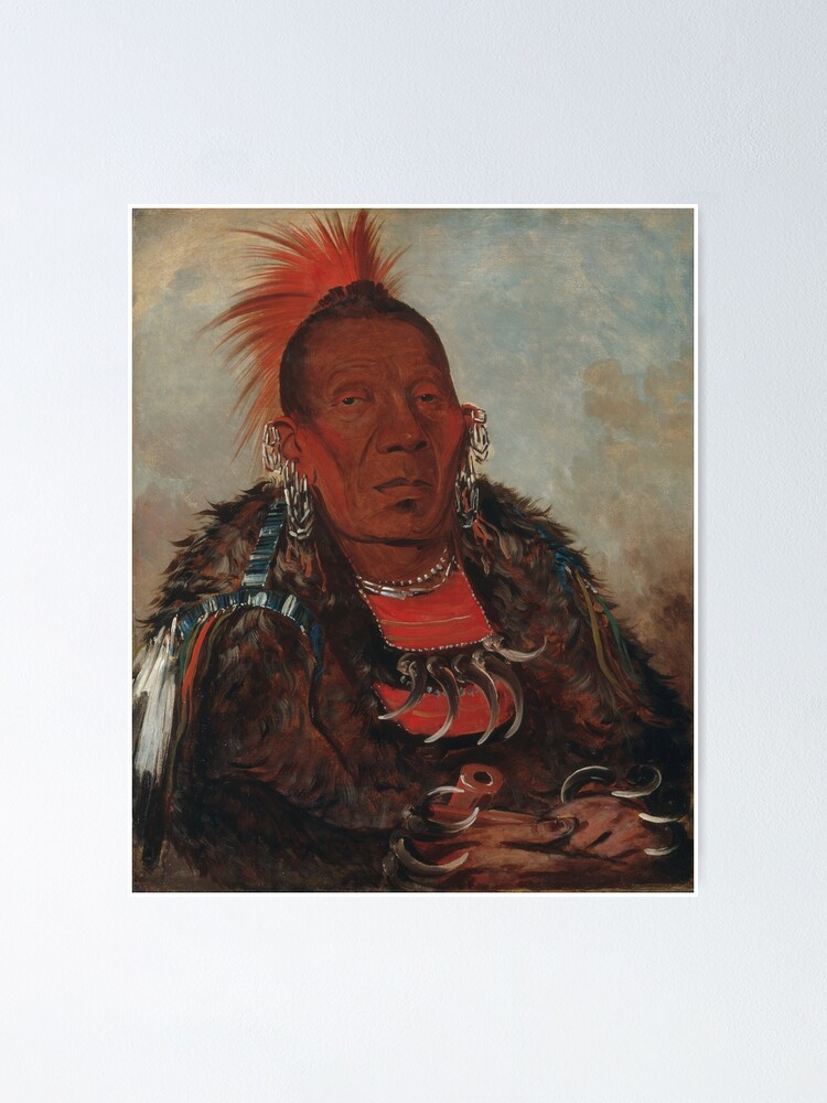 "George Catlin" Poster for Sale by Zokann | Redbubble