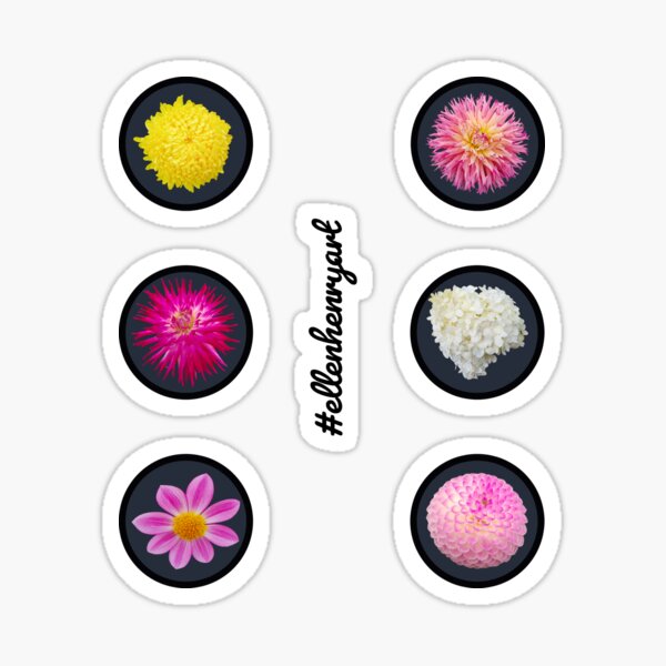 "Flowers Sticker Pack Chrysanthemum Dahlia Hydrangea" Sticker for Sale ...
