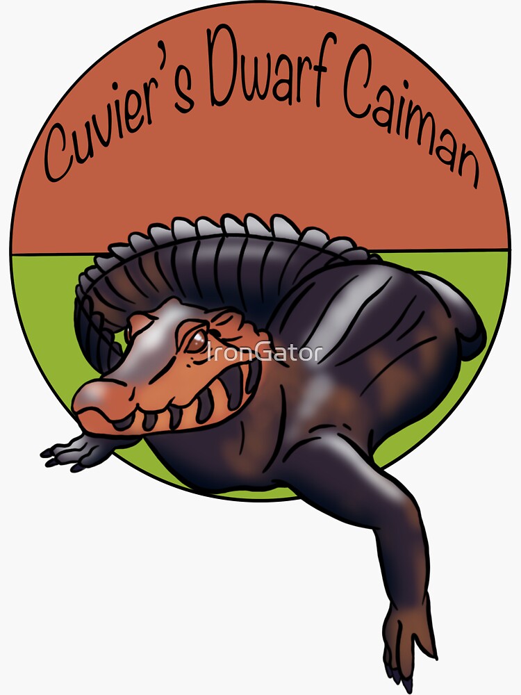 "Cuvier’s Dwarf Caiman " Sticker for Sale by IronGator | Redbubble