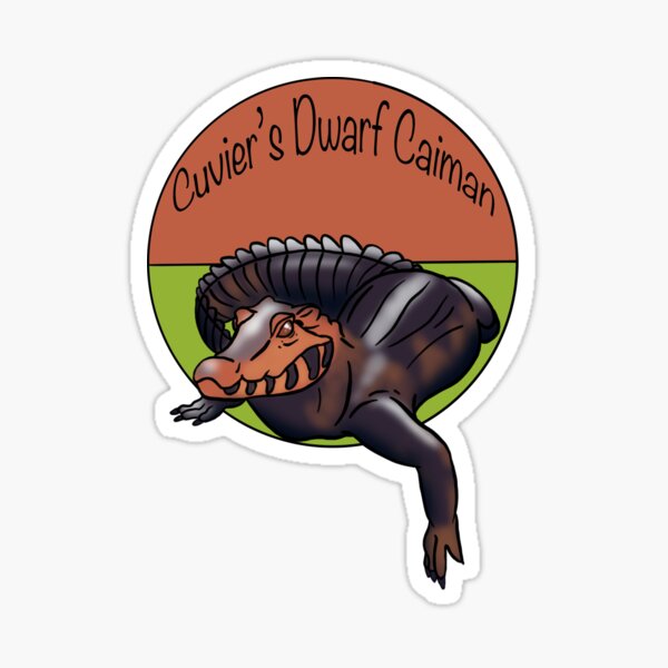 "Cuvier’s Dwarf Caiman " Sticker for Sale by IronGator | Redbubble