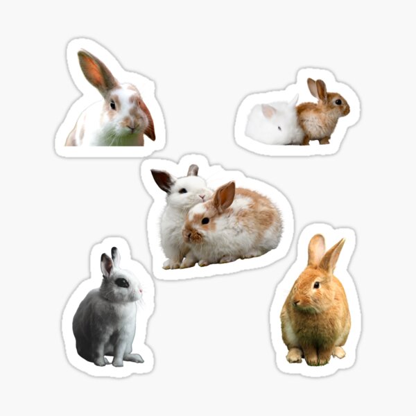 "Cute Bunny Sticker Pack" Sticker for Sale by LazyChocobo | Redbubble