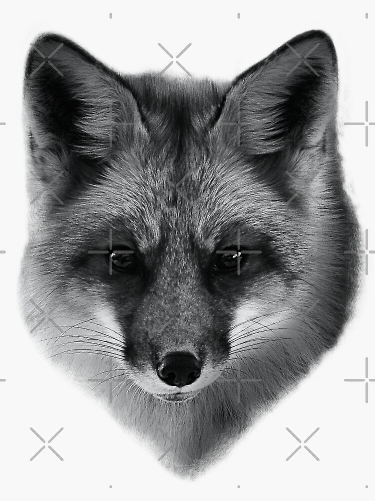 "Monochrome fox " Sticker for Sale by TipTopTapo | Redbubble