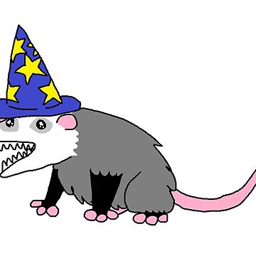 "wizard possum" Poster for Sale by sapphiccowboy | Redbubble
