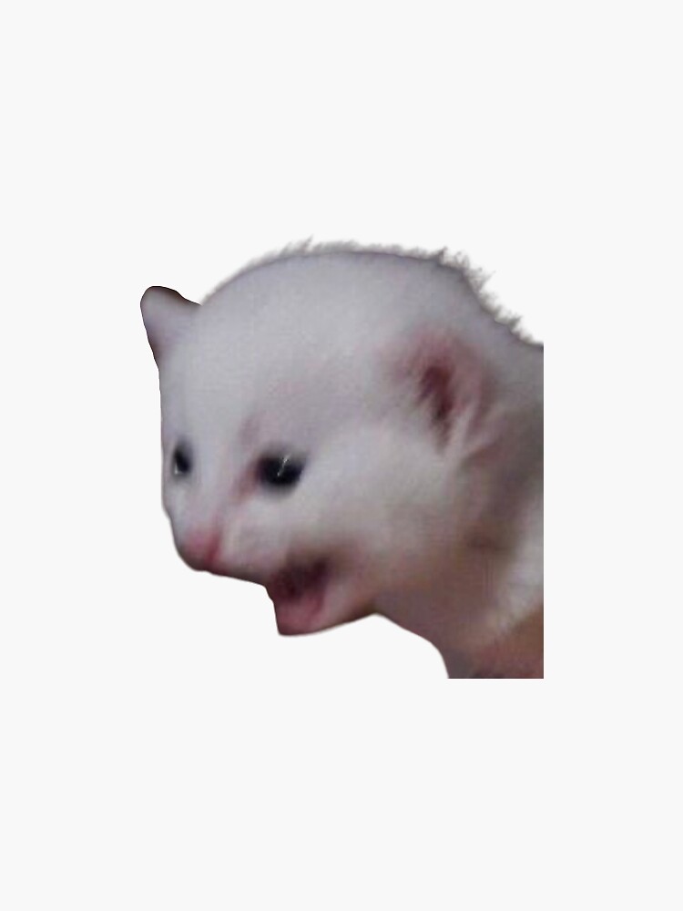"screaming cat" Sticker for Sale by nataliebrownnn | Redbubble