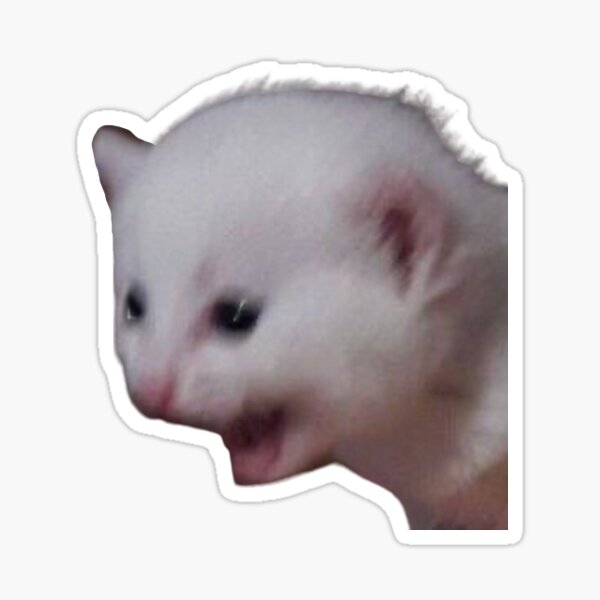 "screaming cat" Sticker for Sale by nataliebrownnn | Redbubble