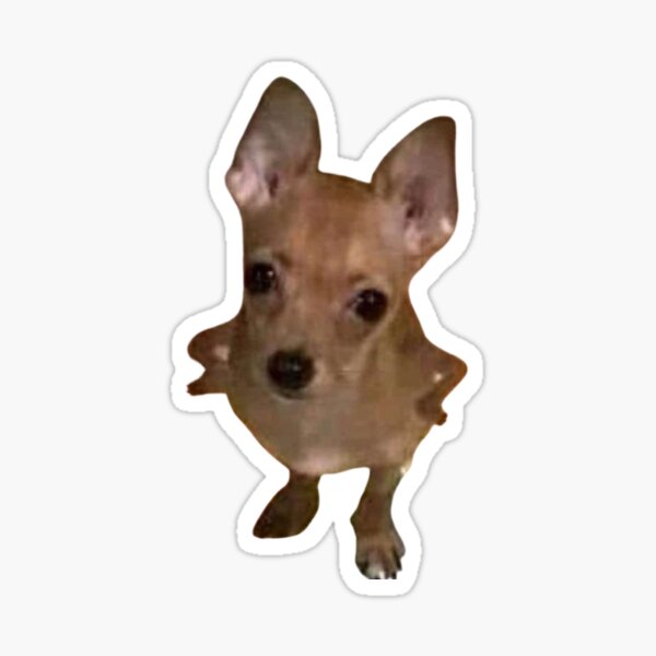 Pegatina for Sale con la obra «perro con los brazos cruzados meme» de ...