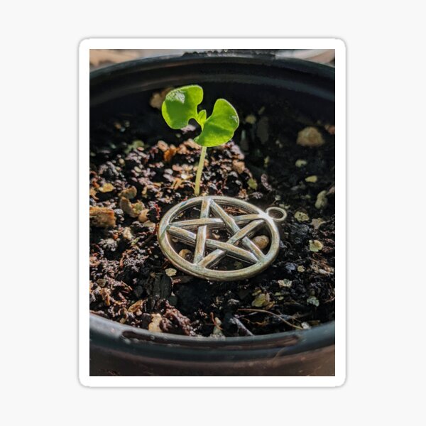 "Blessed Basil" Sticker for Sale by arfff | Redbubble