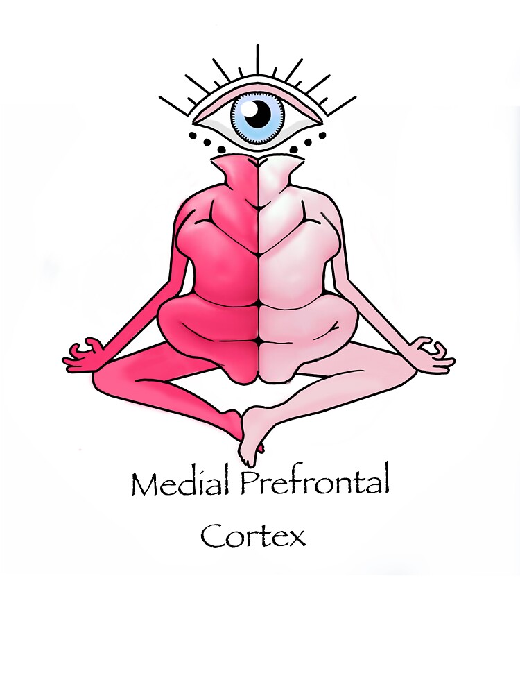 "Meditating Medial Prefrontal Cortex" Sticker for Sale by Harelover11 ...