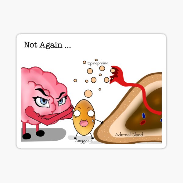 "Overactive Amygdala" Sticker for Sale by Harelover11 | Redbubble