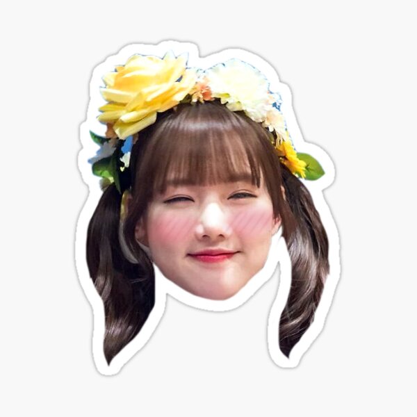 "Yerin Gfriend" Sticker for Sale by mietoki | Redbubble