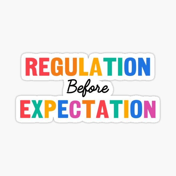 "Regulation Before Expectation, Autism Special Ed Teacher Gift" Sticker ...