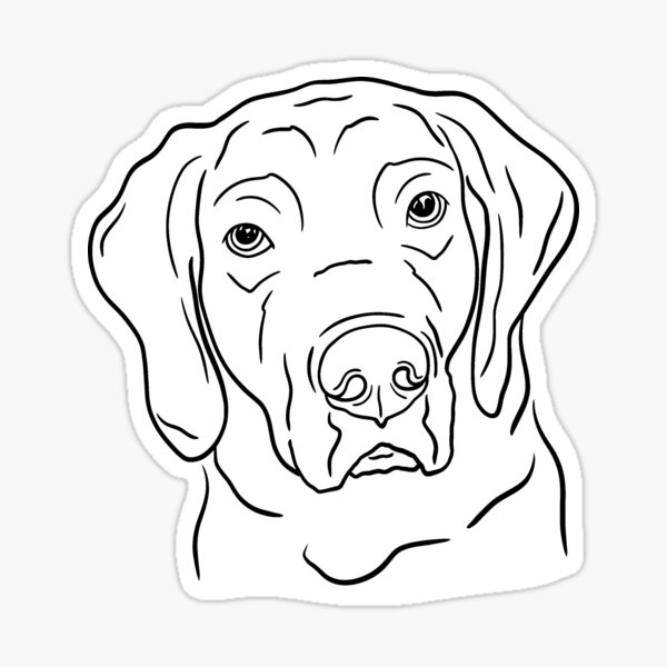 "Labrador Dog Face Line Art" Sticker for Sale by mountainside2 | Redbubble