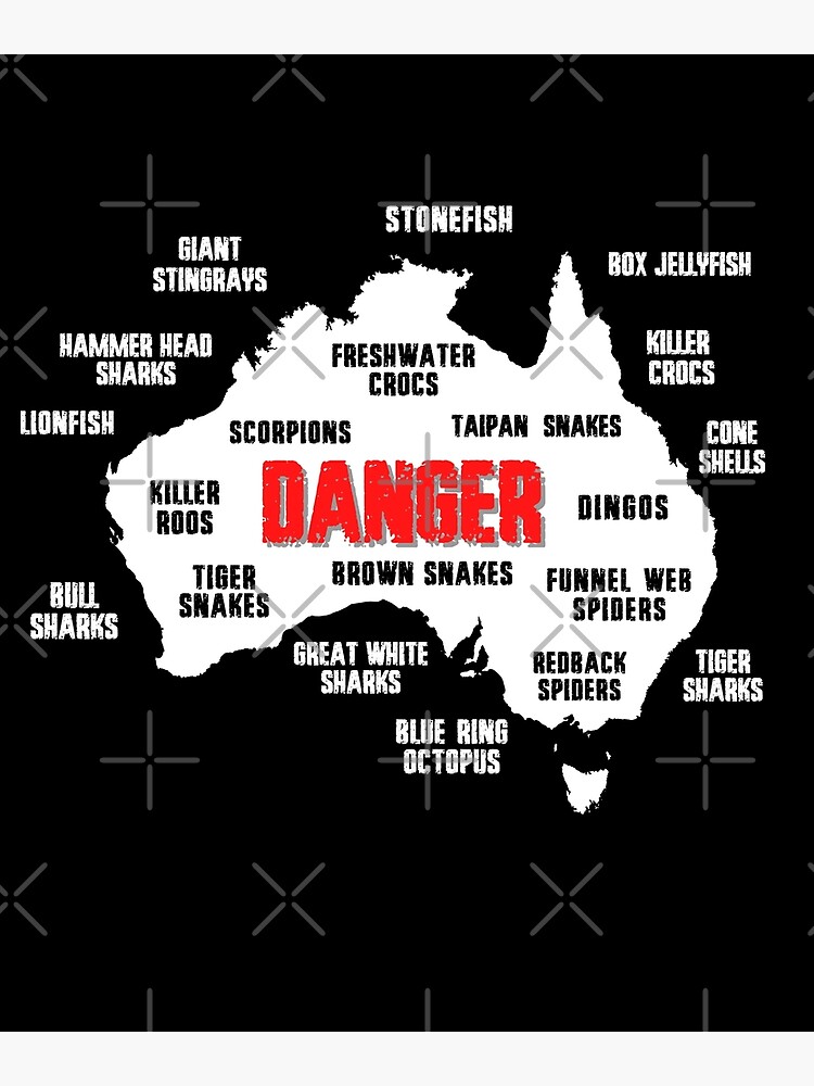 "Australian Dangerous Animals | Map of Australia on Black | " Poster ...