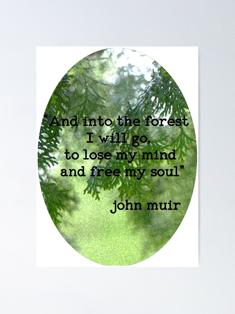 "Into the Forest" Poster by butterslap97 | Redbubble