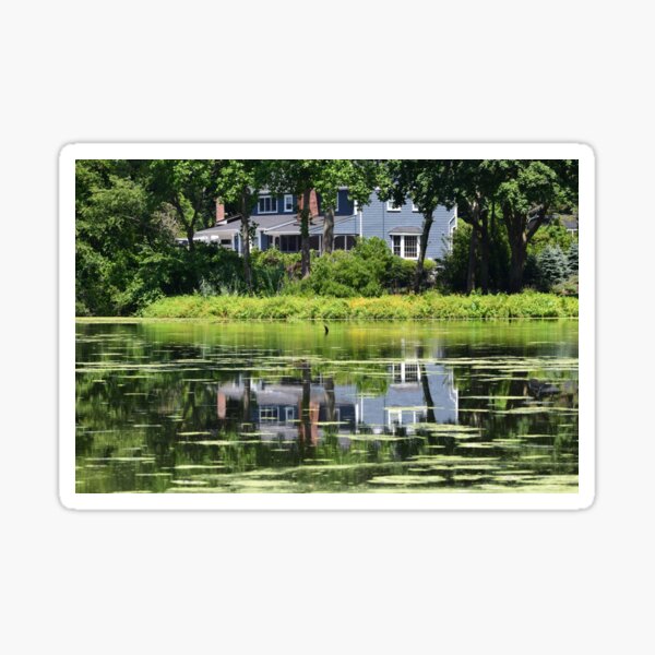 "Reflection" Sticker for Sale by DonnaM | Redbubble