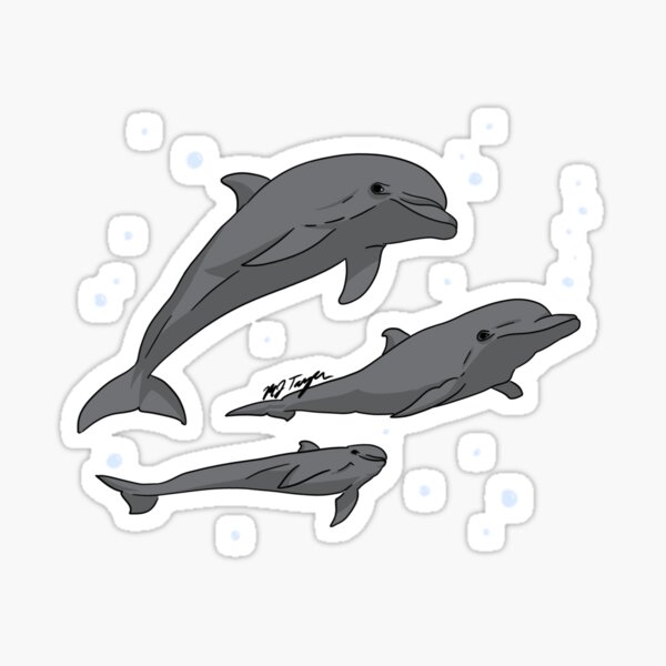 "Dolphin Pod" Sticker for Sale by mj-illustrates | Redbubble