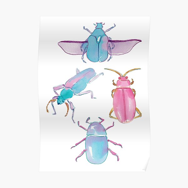 "4 Cute Pastel Insects" Poster for Sale by hermanandivy | Redbubble