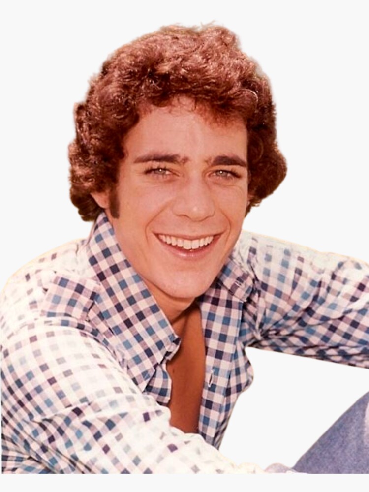 "Greg Brady Smile" Sticker for Sale by inspiredtiger | Redbubble