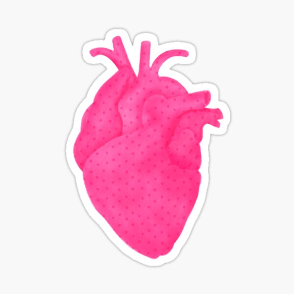 "Realistic Heart" Sticker for Sale by DariaStones | Redbubble