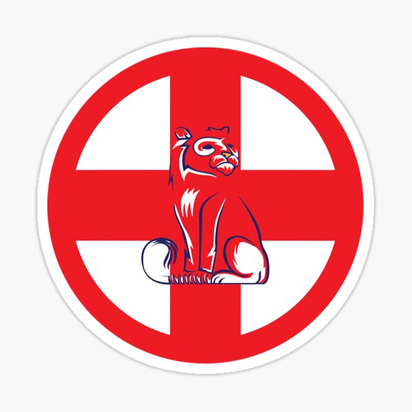"England lionesses" Sticker for Sale by TheBigBrownShop | Redbubble