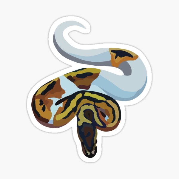"Ball Python - Digital Art" Sticker for Sale by TLGdrawings | Redbubble
