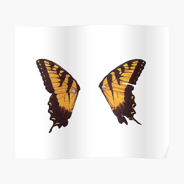 Paramore Posters | Redbubble