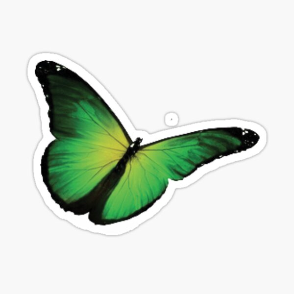 "beautiful green butterfly" Sticker for Sale by TariqStor | Redbubble