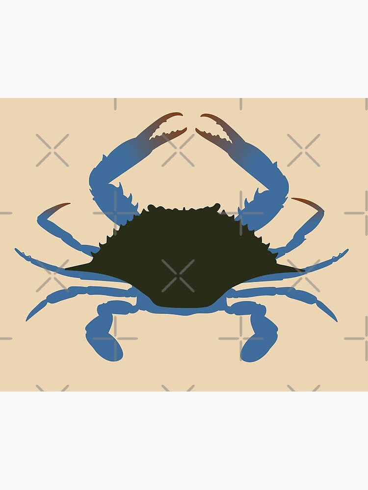 "Chesapeake Blue Crab" Poster for Sale by ziafrazier | Redbubble