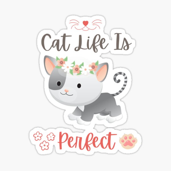 "Cat Life Is Perfect" Sticker for Sale by LunaticArtWork | Redbubble