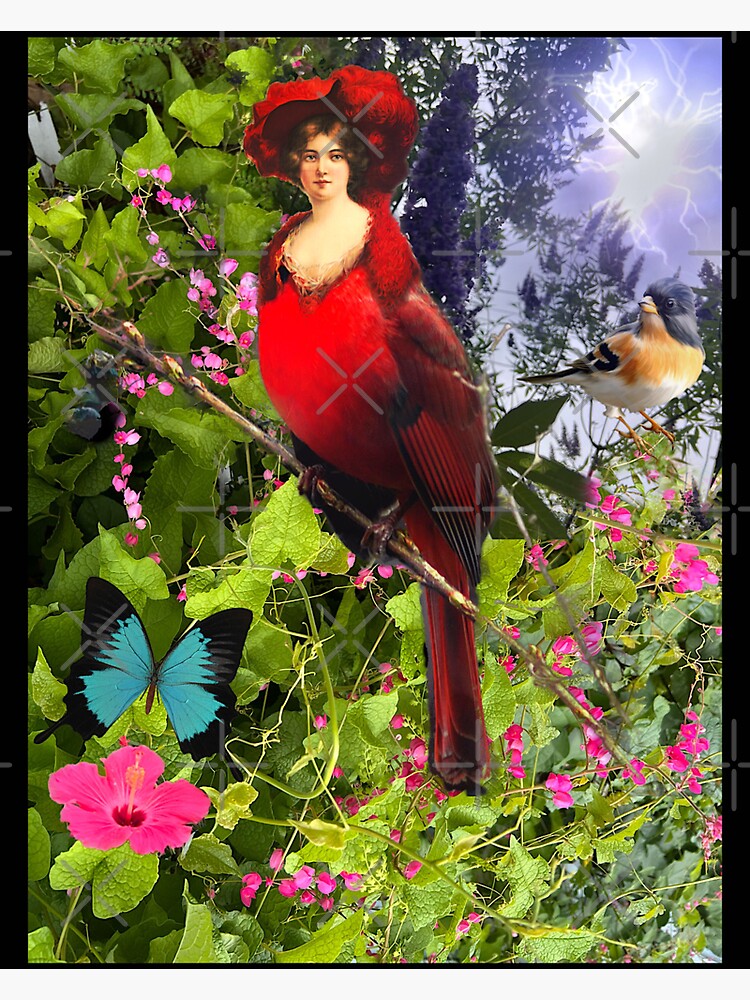 "Cardinal" Sticker for Sale by I-am-a-pistol | Redbubble