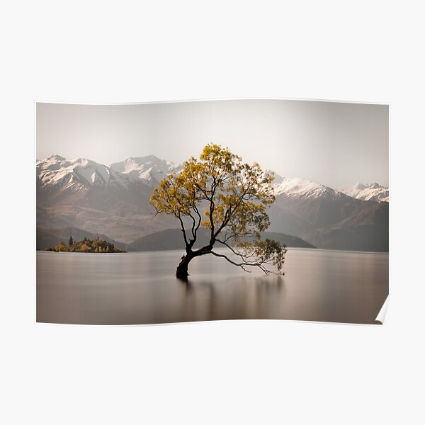 "Wanaka Tree" Poster for Sale by kgbster | Redbubble