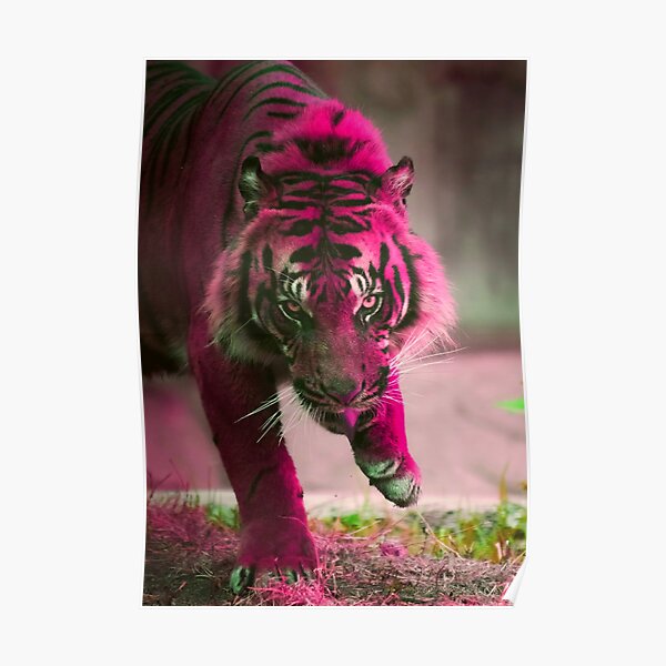 "Pink Tiger" Poster for Sale by Luca-Changretta | Redbubble