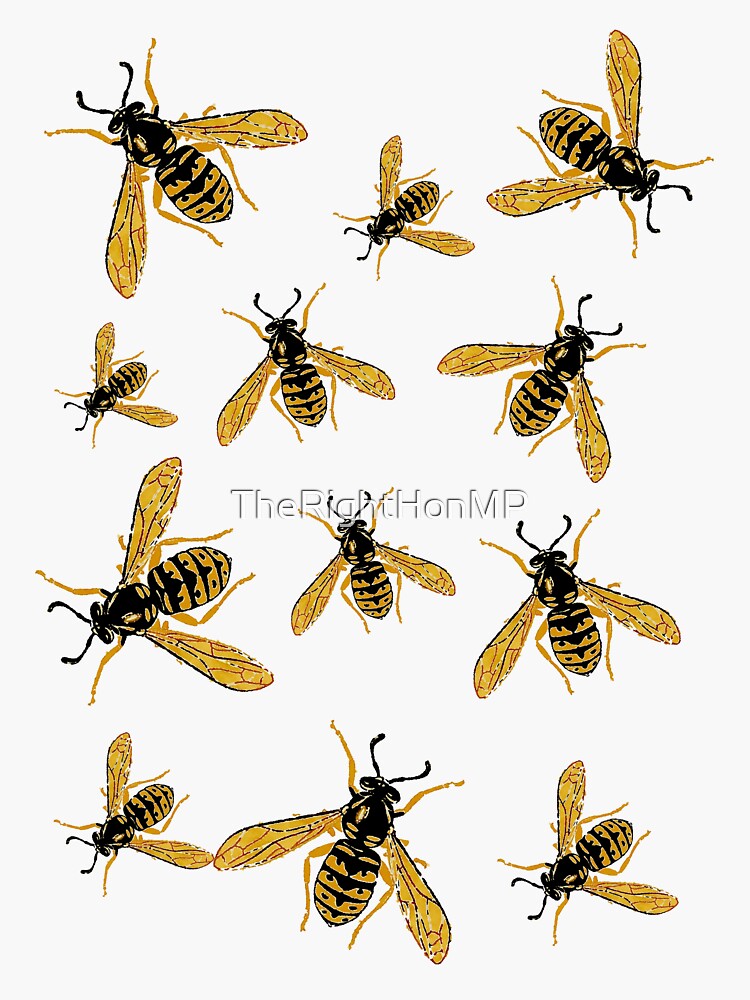 "Wasps pattern" Sticker for Sale by TheRightHonMP | Redbubble