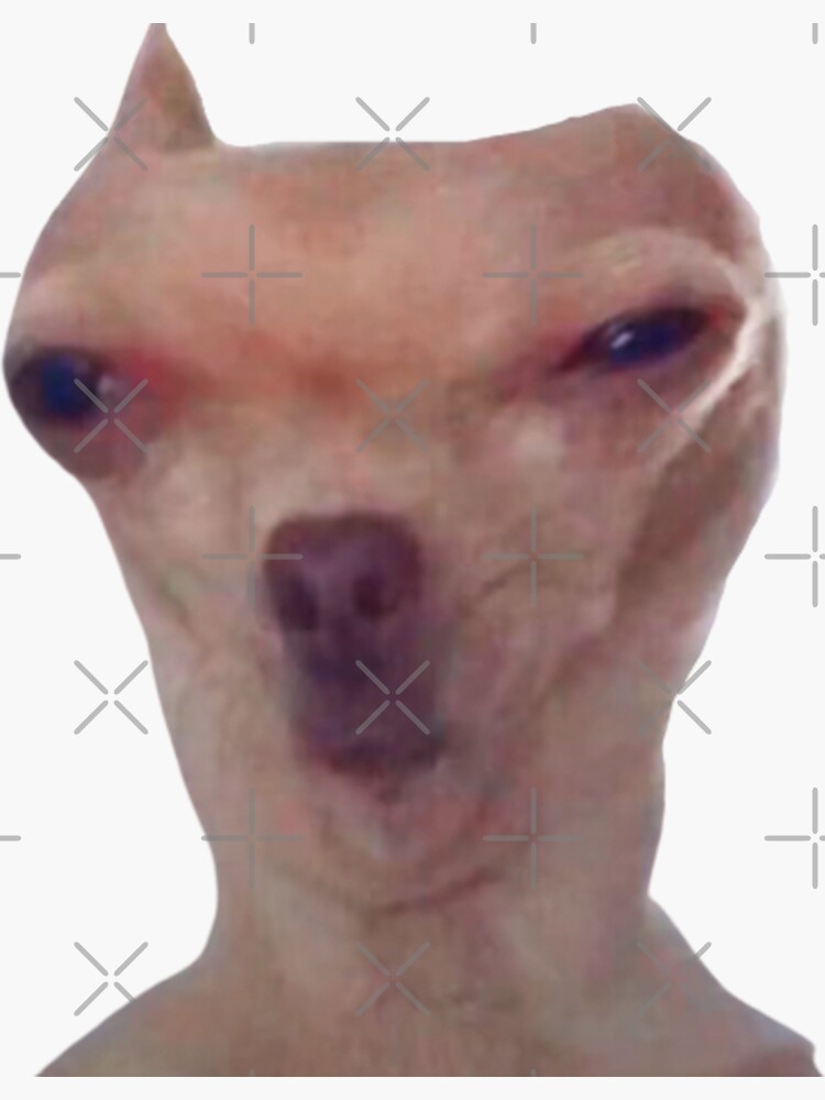 "Sour Face Chihuahua Funny" Sticker for Sale by AngelRoot | Redbubble