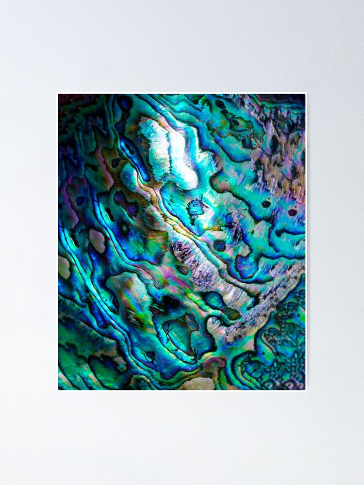 "Abstract Paua Abalone Shell Texture Pattern, Polished Paua Abalone ...