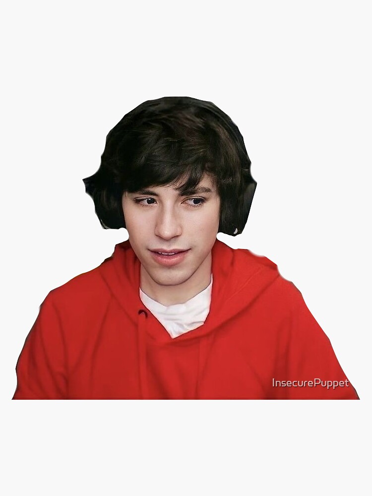 "GeorgeNotFound in Red Hoodie " Sticker for Sale by InsecurePuppet ...