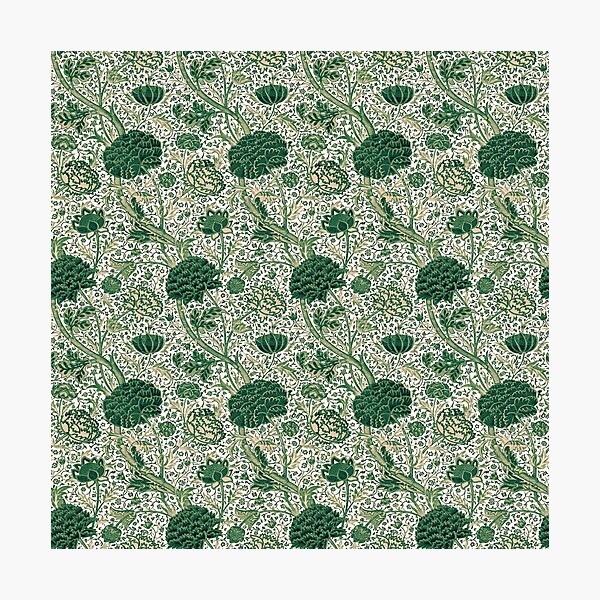 "Infinitely Repeating Pattern based on William Morris's Cray ...