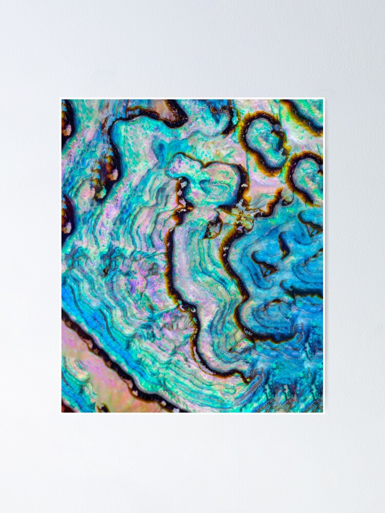 "Abstract Paua Abalone Shell Texture Pattern, Polished Paua Abalone ...