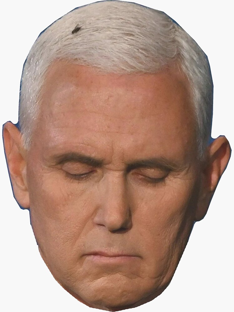 "Mike pence" Sticker for Sale by Kelley0281 | Redbubble