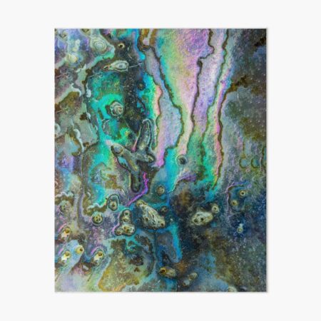 "Abstract Paua Abalone Shell Texture Pattern, Polished Paua Abalone ...