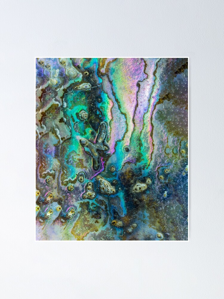 "Abstract Paua Abalone Shell Texture Pattern, Polished Paua Abalone ...