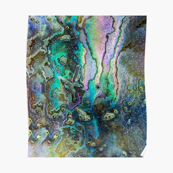 "Abstract Paua Abalone Shell Texture Pattern, Polished Paua Abalone ...