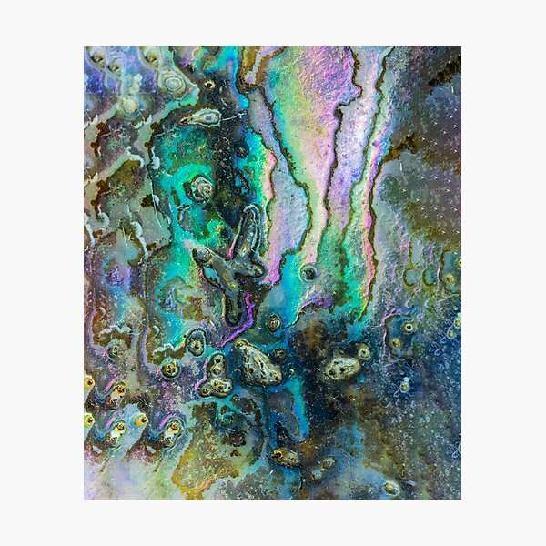 "Abstract Paua Abalone Shell Texture Pattern, Polished Paua Abalone ...