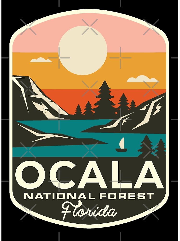 "Ocala national forest Florida mountain hiking " Poster for Sale by ...
