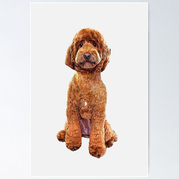 "Goldendoodle Golden Doodle Labradoodle Cute Puppy Dog" Poster for Sale ...