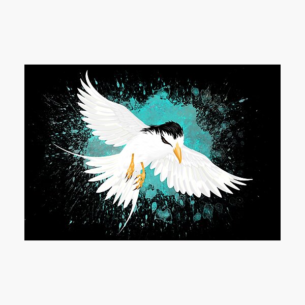 "Fluffy White Fairy Terns Bird Or Angel Tern Bird Also Called White ...