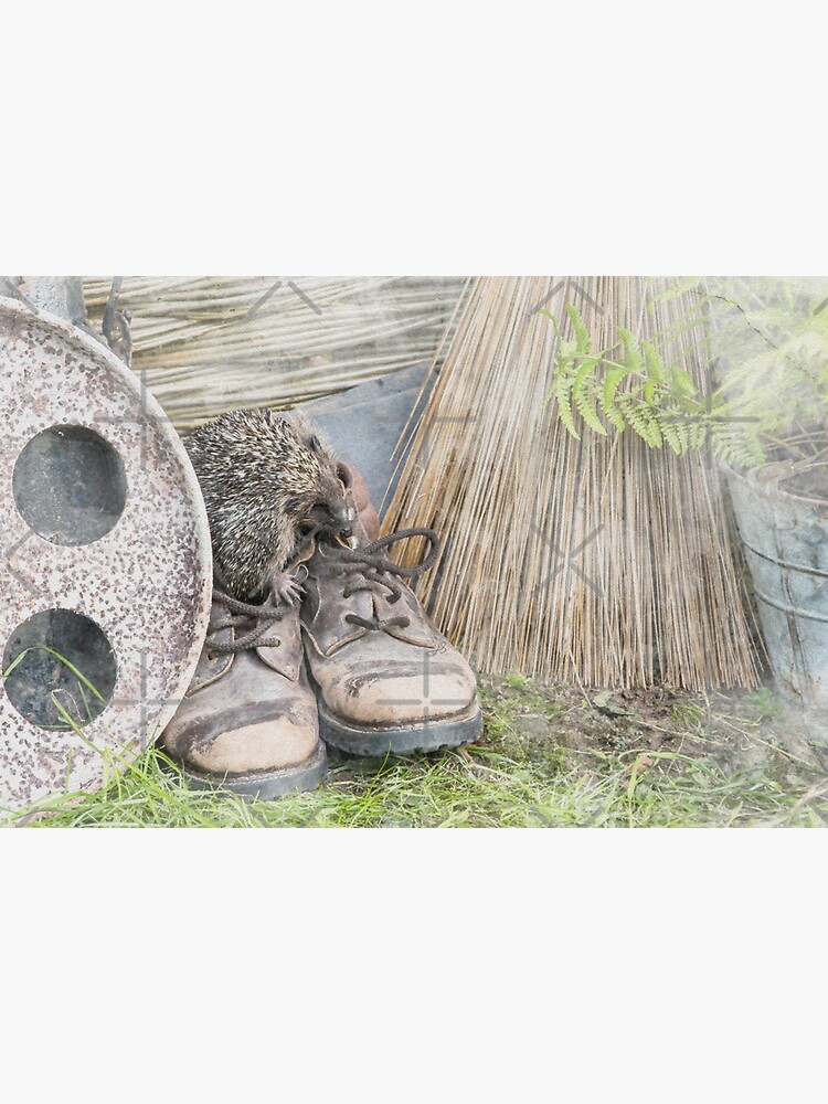 "Hedgehog and Boots Watercolour Photograph" Sticker for Sale by ...